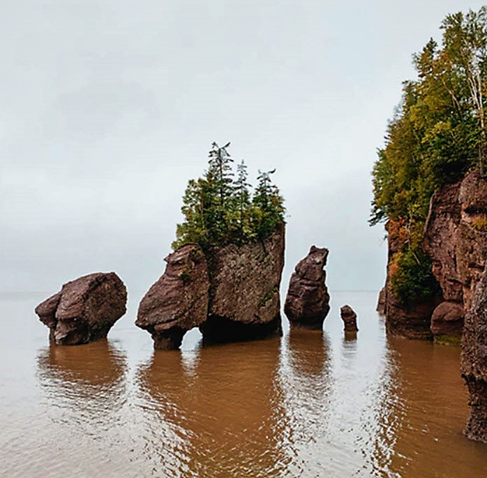 Dare to Walk in the Seabed with World’s Highest Tides – Hopewell Rocks ...